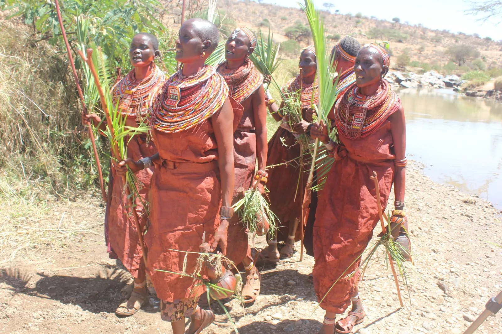 Our Programs - Samburu Women Trust | Investing in indigenous women and ...